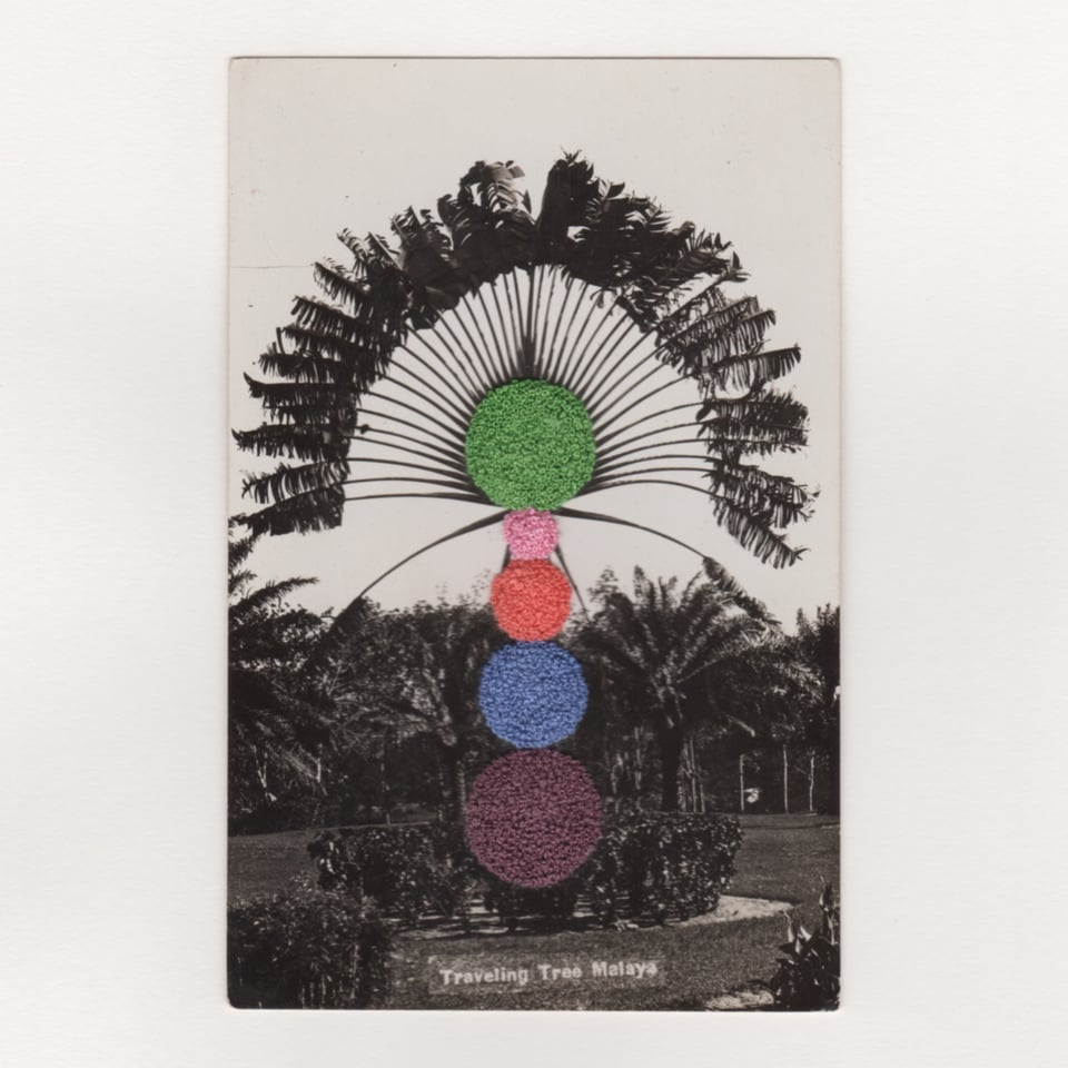 Home | Francesca Colussi Cramer