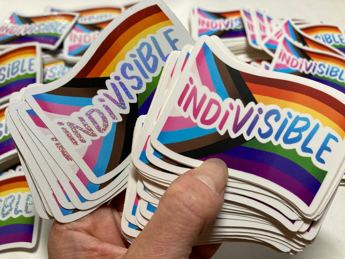 🏳️‍⚧️ Indivisible Pride 🏳️‍⚧️ Stickers | dcorsetto