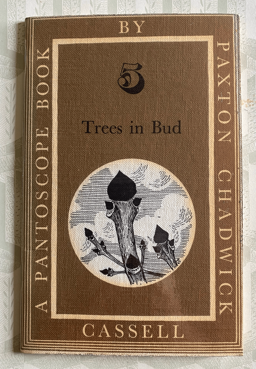 A Pantoscope book Trees in Bud by Paxton Chadwick | Two Artists At Home