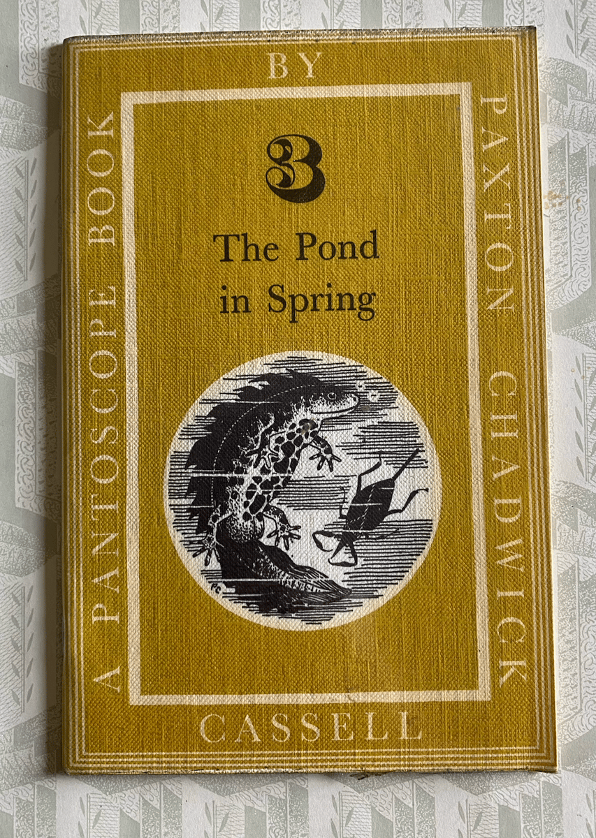 A Pantoscope Book The Pond in Spring by Paxton Chadwick | Two Artists ...