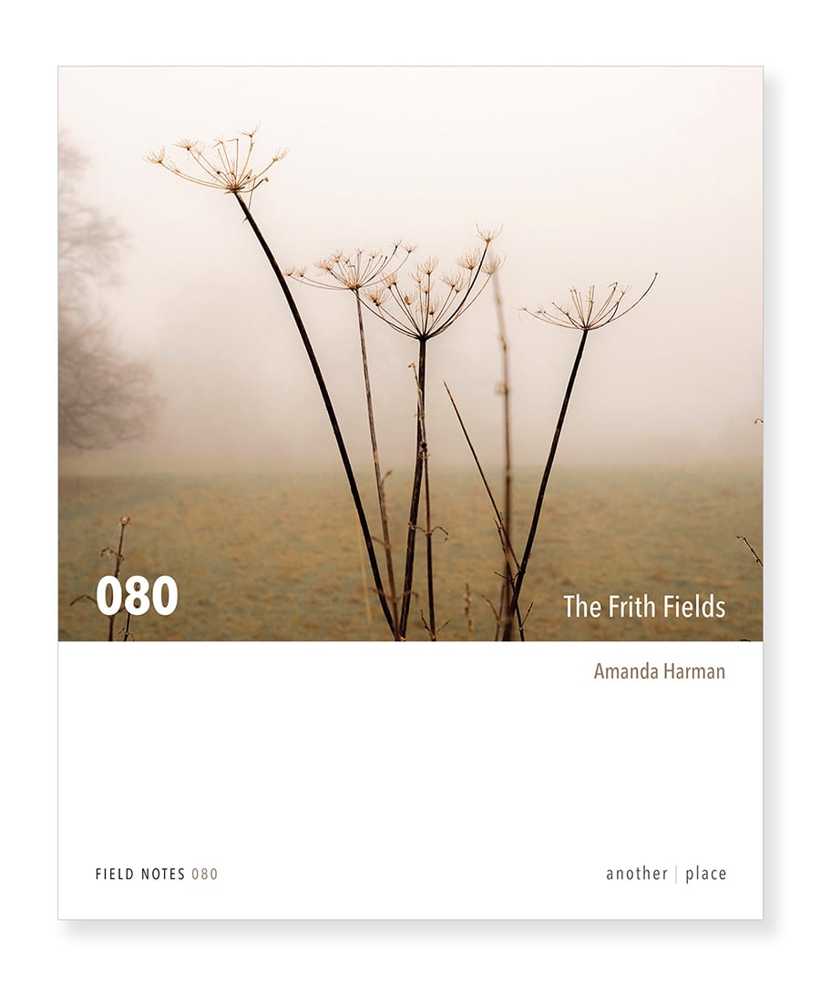 The Frith Fields - Amanda Harman | another place press