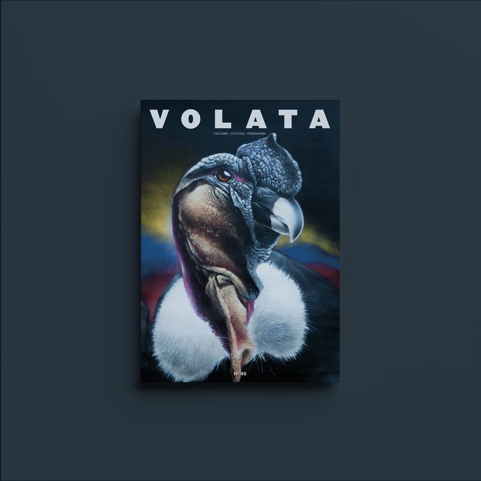 Home | VOLATA