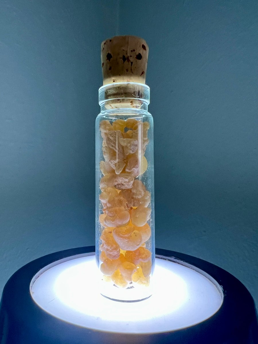 Frankincense Tea – A Sacred Brew for Inflammation & Inner Calm | Salt ...