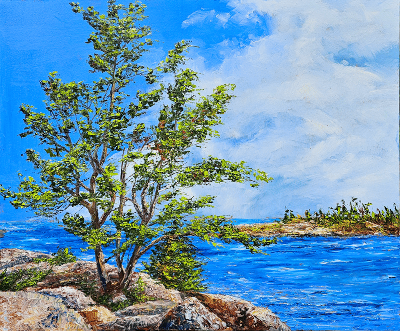 Jamie MacLean Fine Art