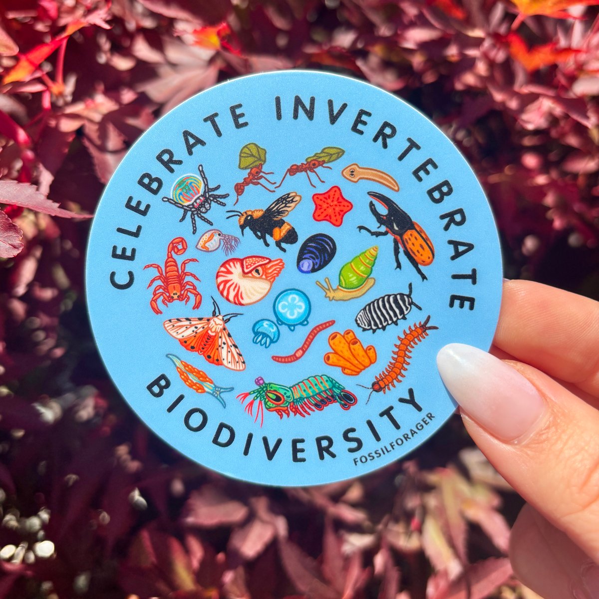 Celebrate Invertebrate Biodiversity Sticker | fossilforager