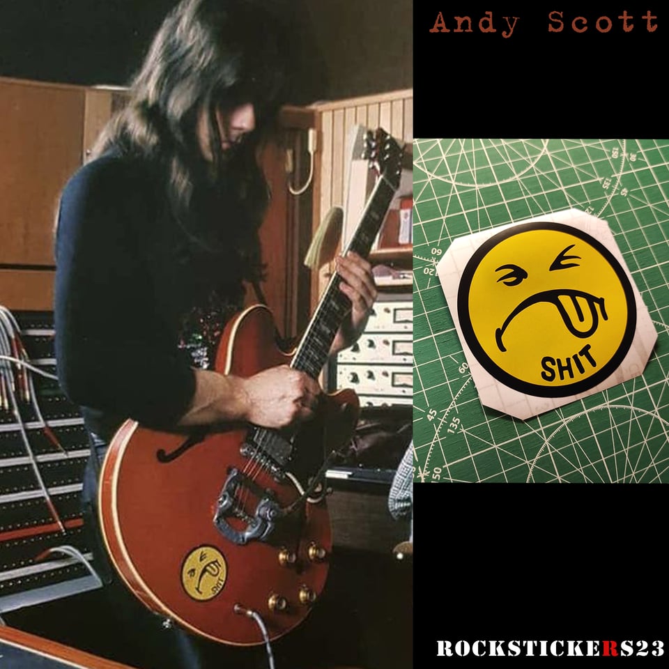 James Hetfield guitar stickers Gibson Electra Flying V 2236 vinyl decal ...