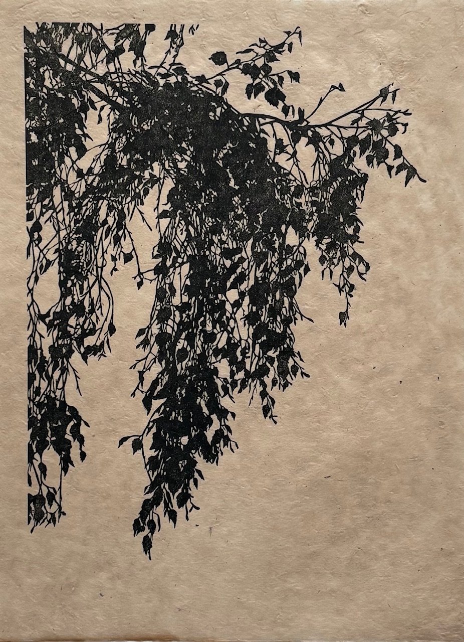 TREES | LEAVES | Susan Noble: Artist/Printmaker