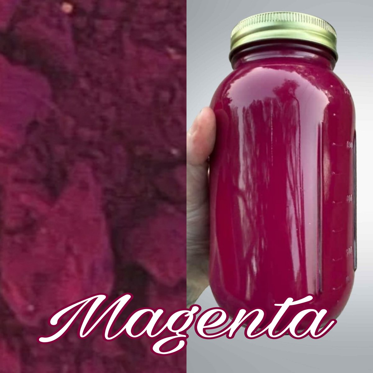 Magenta Powder Pigment | philadelphiaeddietattoosupply