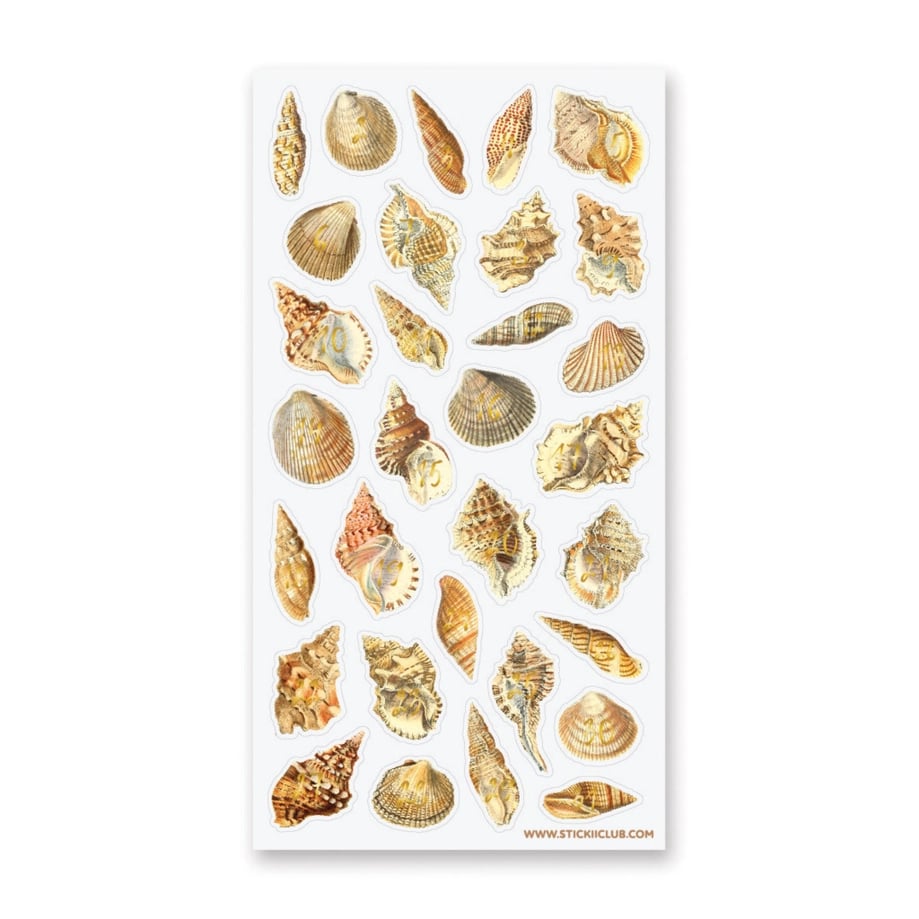 Numbered Seashells Sticker Sheet | The Well-Appointed Desk Shop