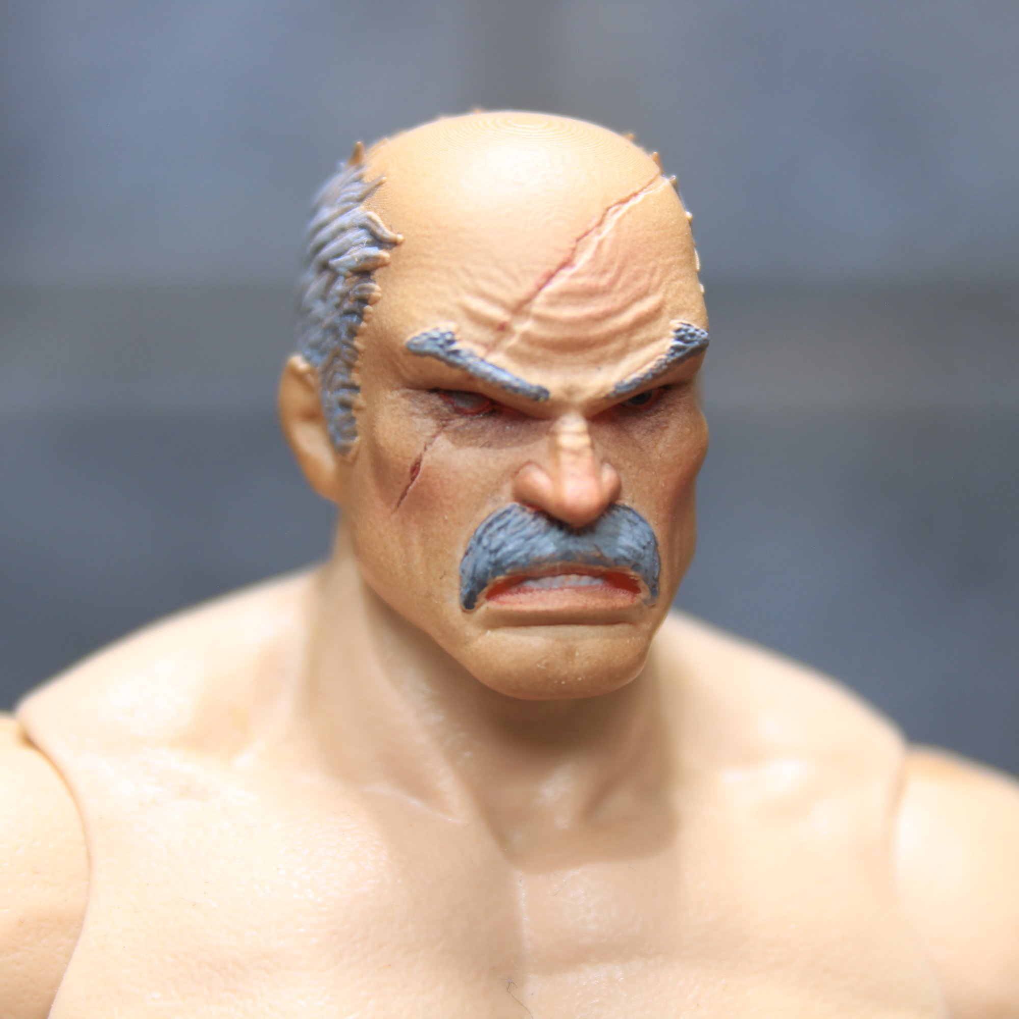 Viltrumite Mentor | VAULT Custom Figures