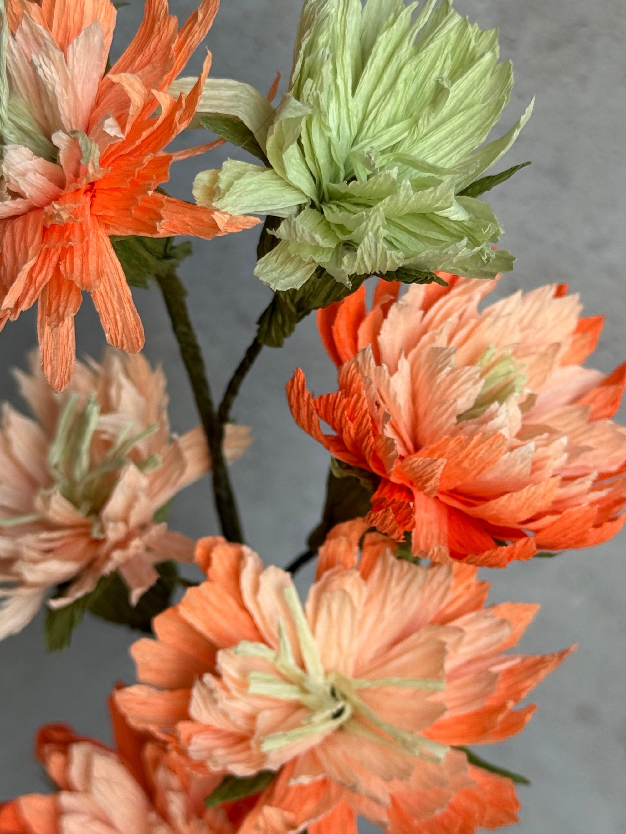 🌓 Amber Eclipse Bloom | Pom Pom Factory