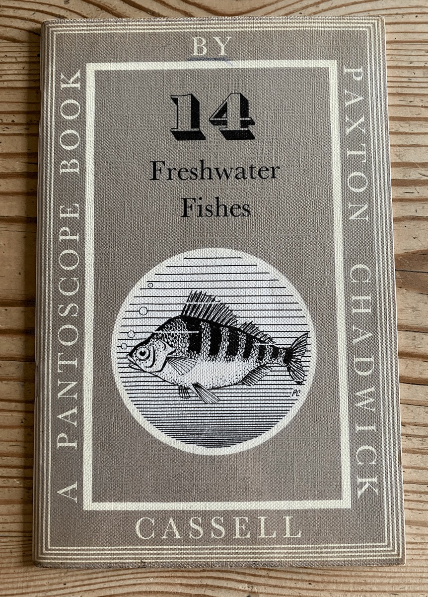 A Pantoscope Book Freshwater Fishes by Paxton Chadwick | Two Artists At ...