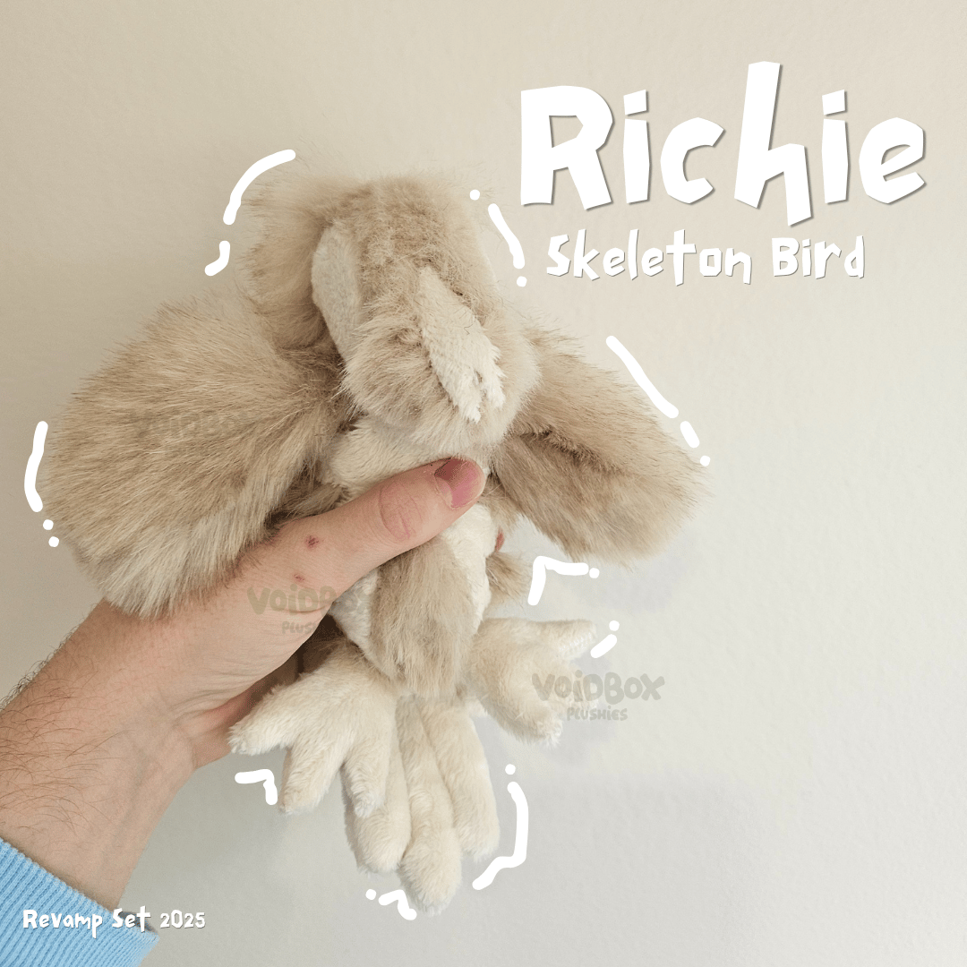 Revamp Set 2025 - Richie | VoidBox