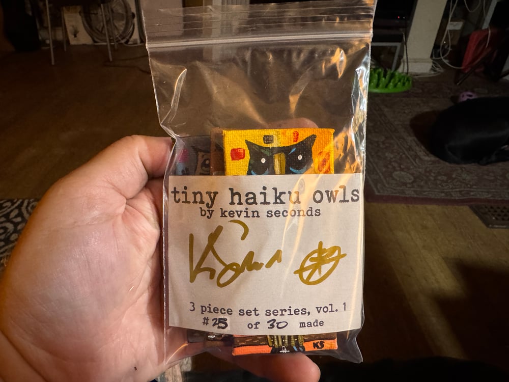 Kevin Seconds - Tiny Haiku Owls / 3-Piece Micro Art Set Series, Vol. 1 ...