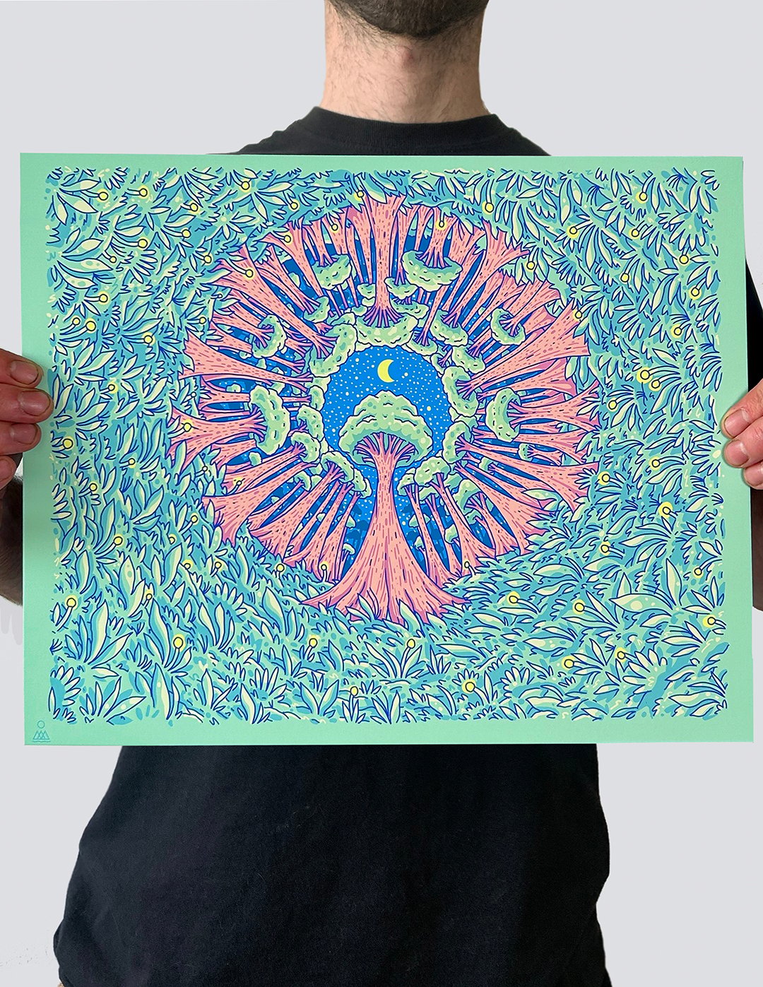 Ambio" Print / Evan M. Cohen