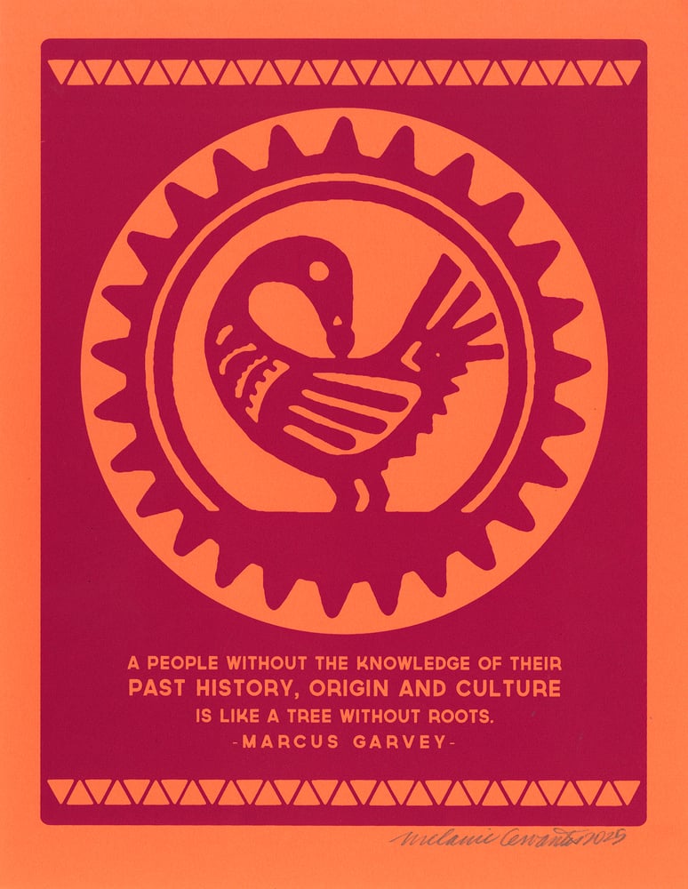 Products | Dignidad Rebelde