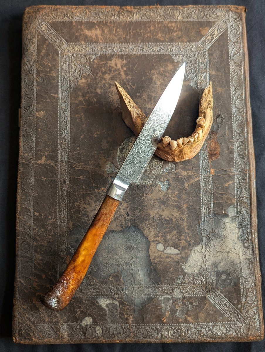 BLOOD CEREMONY ⛧ ritual bone knife | Sulphur & Salt : Occult Artifacts ...