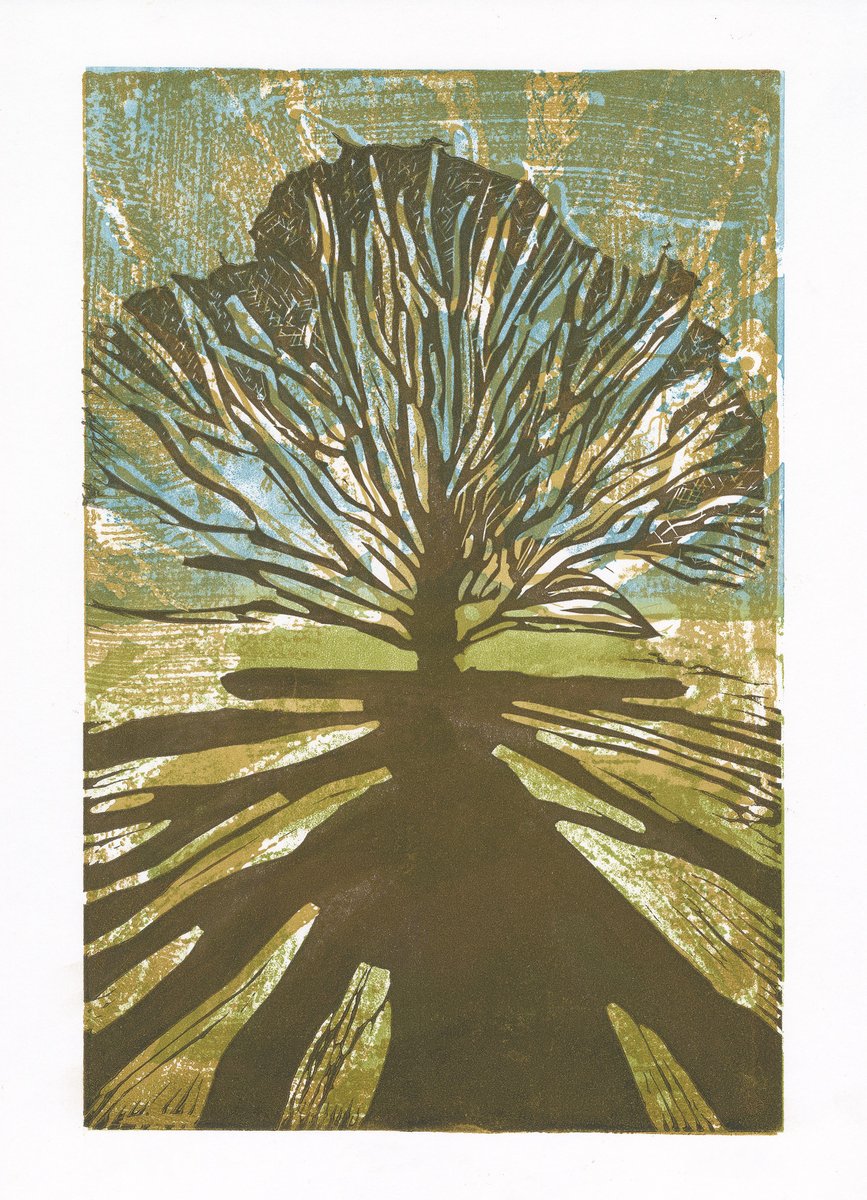 Shadows | Liz Hartley Fine Art Prints