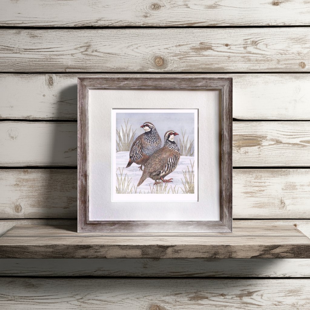 PARTRIDGE ART PRINT | Helen Briggs Design- Bird Artwork and Nature Prints