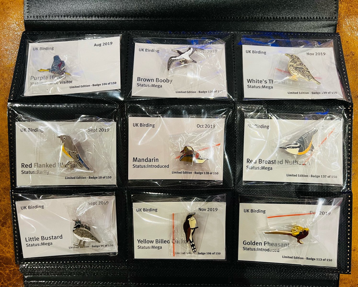 Pin Badge A4 Display Folder | UK Birding Pins