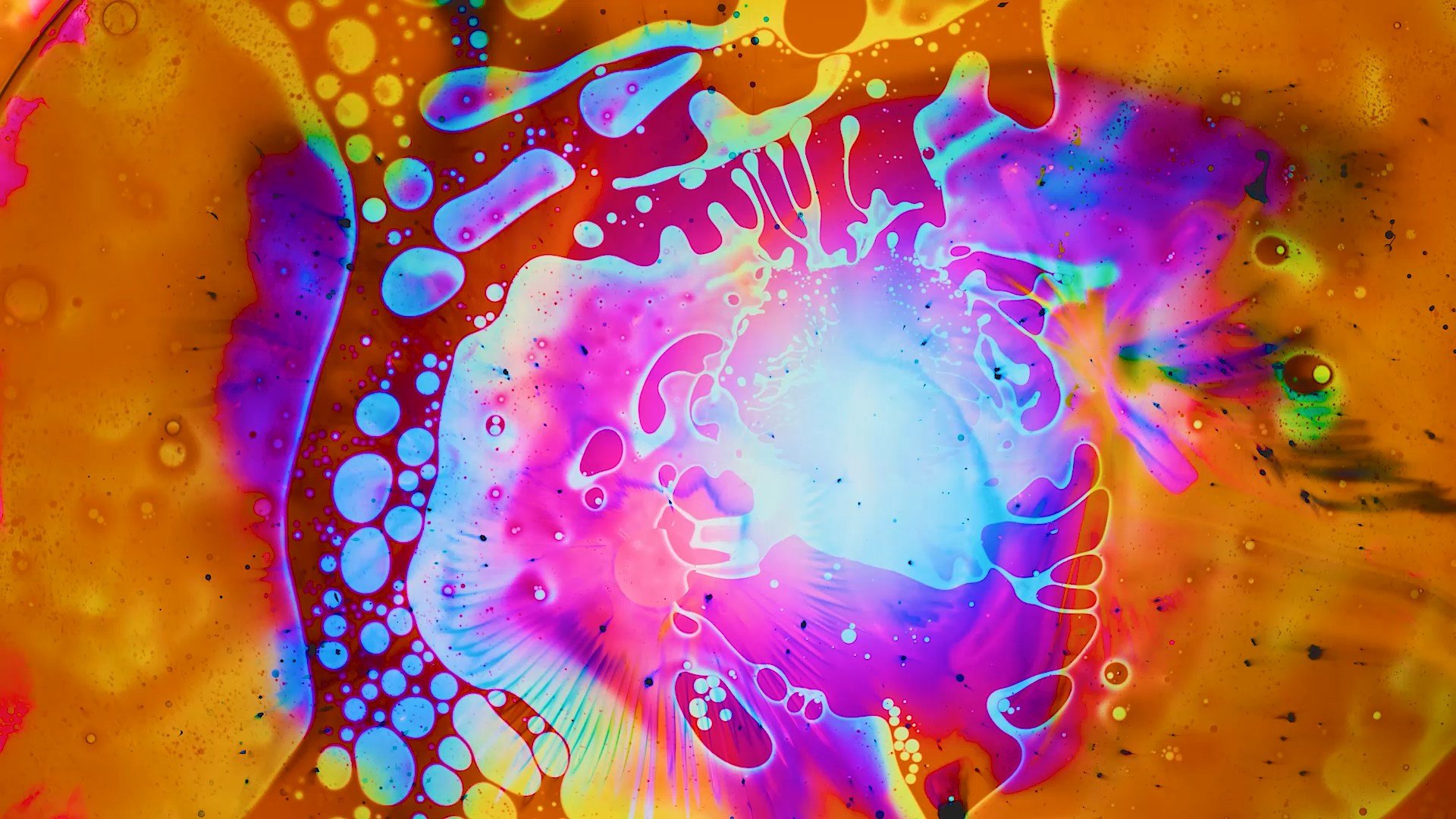 Liquid Light Lab — Pure Liquid Vol. 1 - VJ & Video Creator's Pack