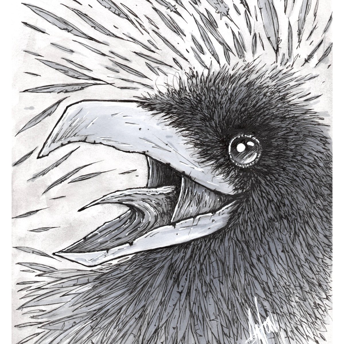 Mad Raven Print | Art by Anton