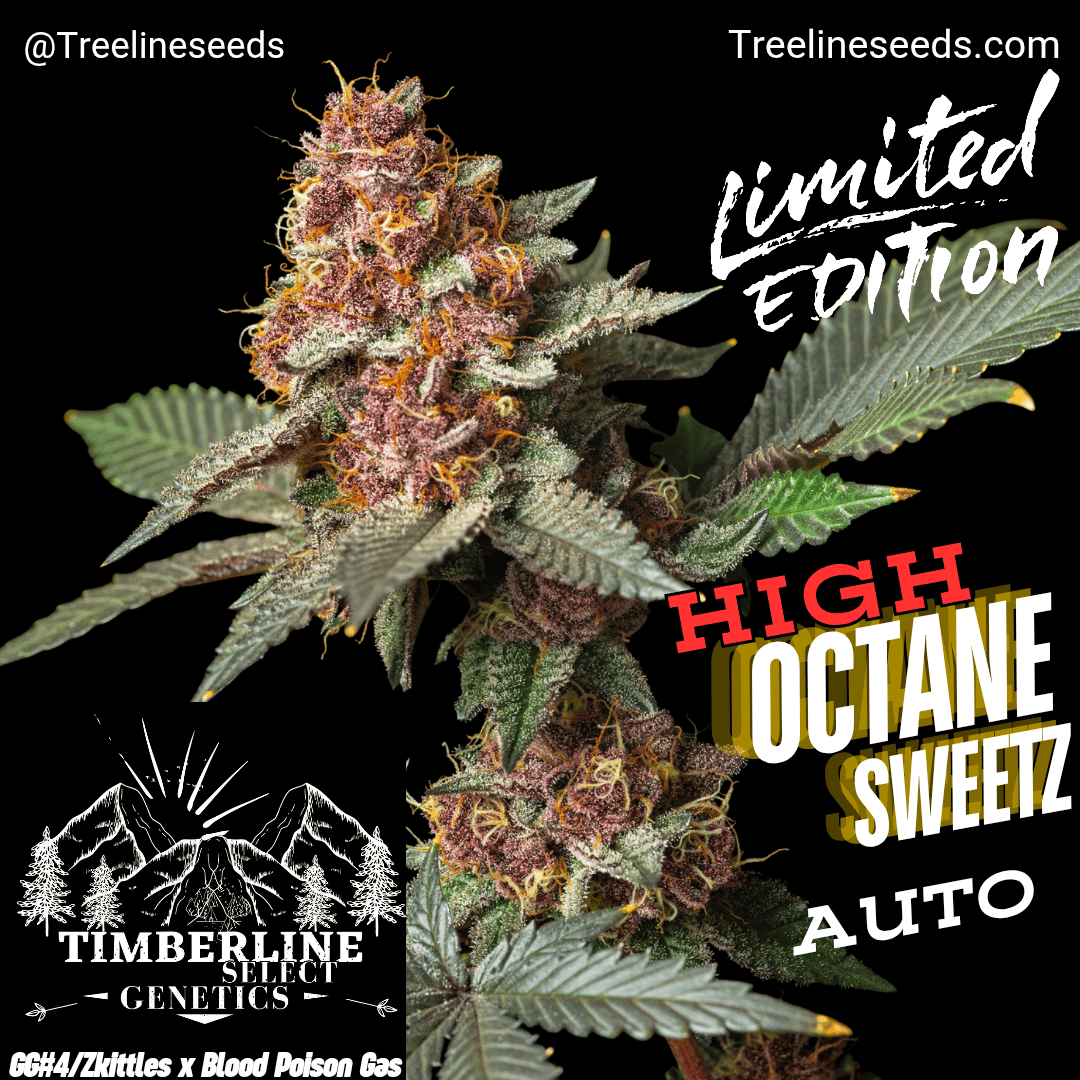 •Autos (TimberLine)• | Tree Line Seeds