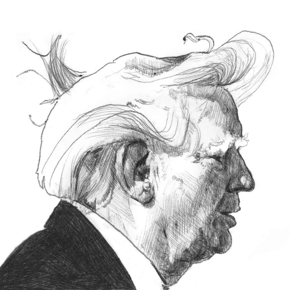 Donald Trump | 4x6 | Original Ink Drawing | Political Portraits