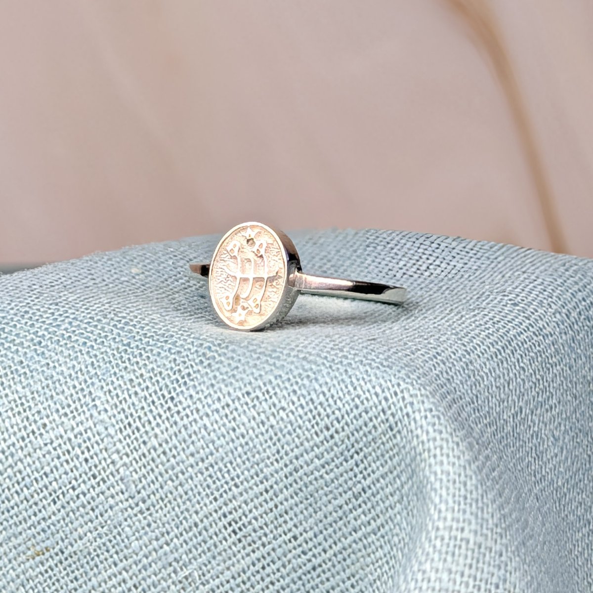 Arise Ringstone symbol signet Sterling Silver Bahá'í ring | 95 Gems