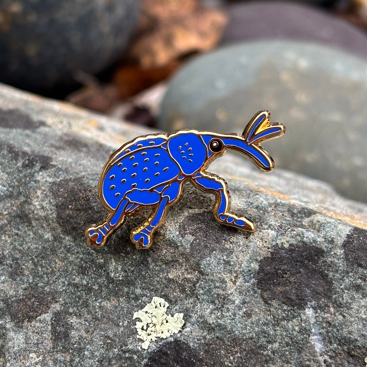 Blue Leaf Rolling Weevil Enamel Pin | fossilforager