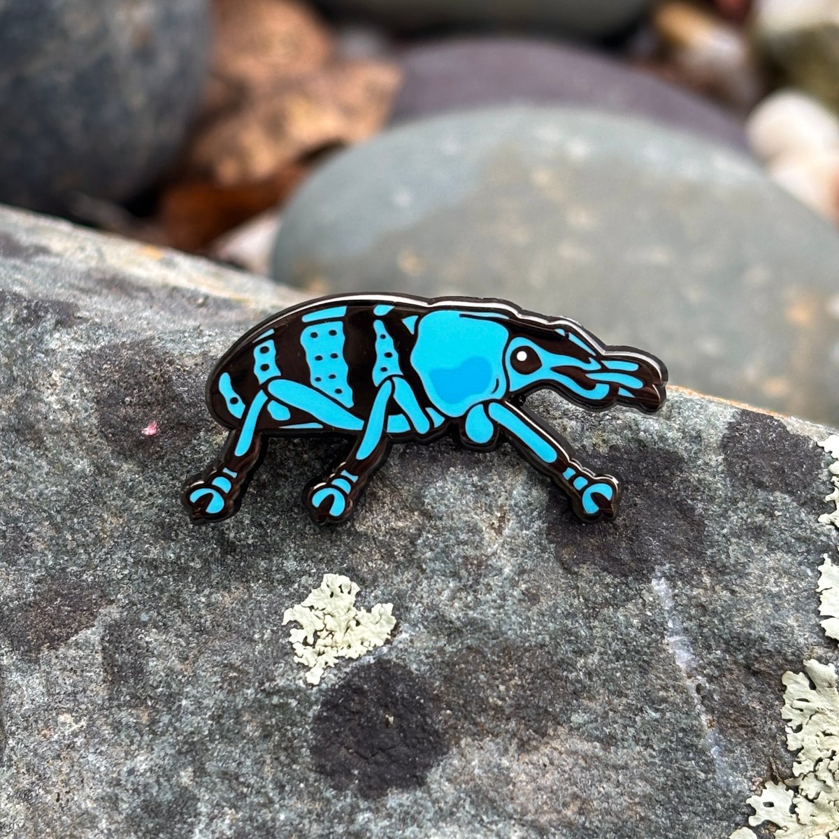 Schonherr's Blue Weevil Enamel Pin | fossilforager