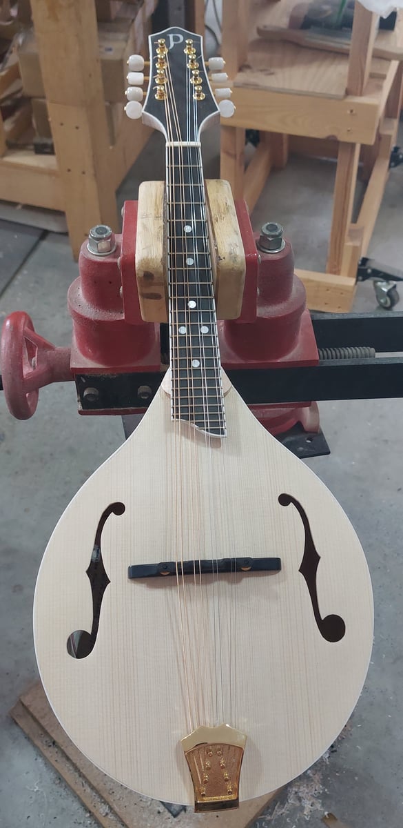 COMING SOON Custom A style mandolin | Parker Stringed Instruments
