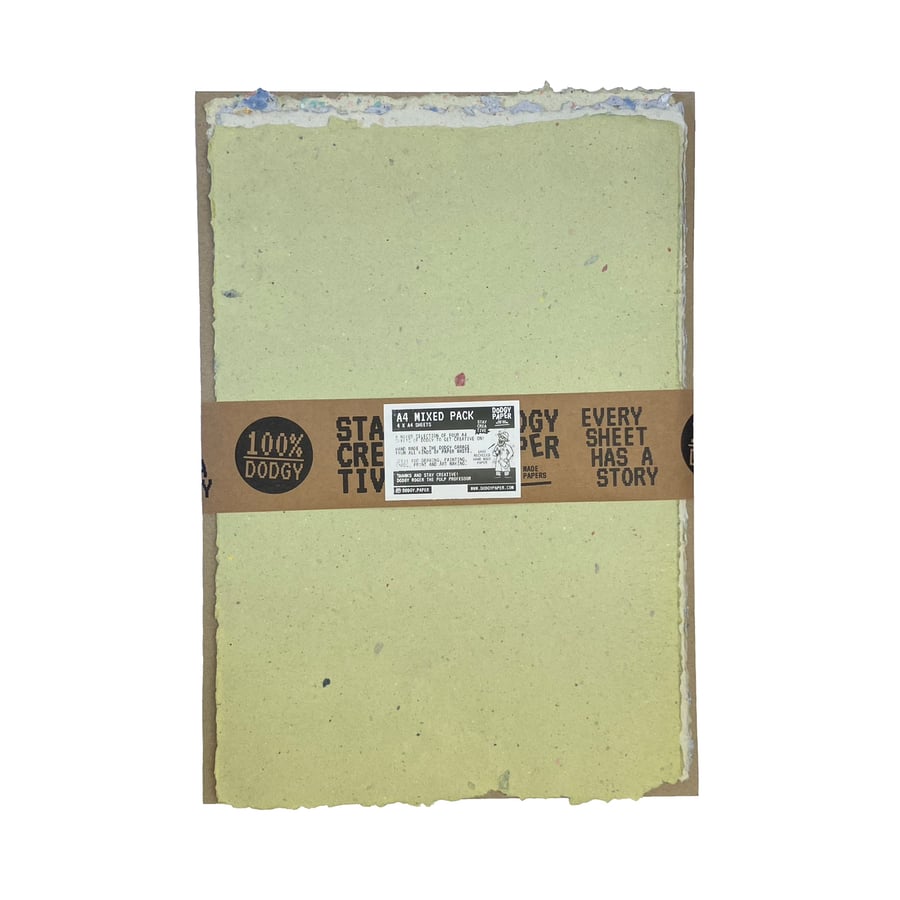 Dodgy Paper: Mystery Pack of 4 sheets - A4 | Silverpoint Art Supplies
