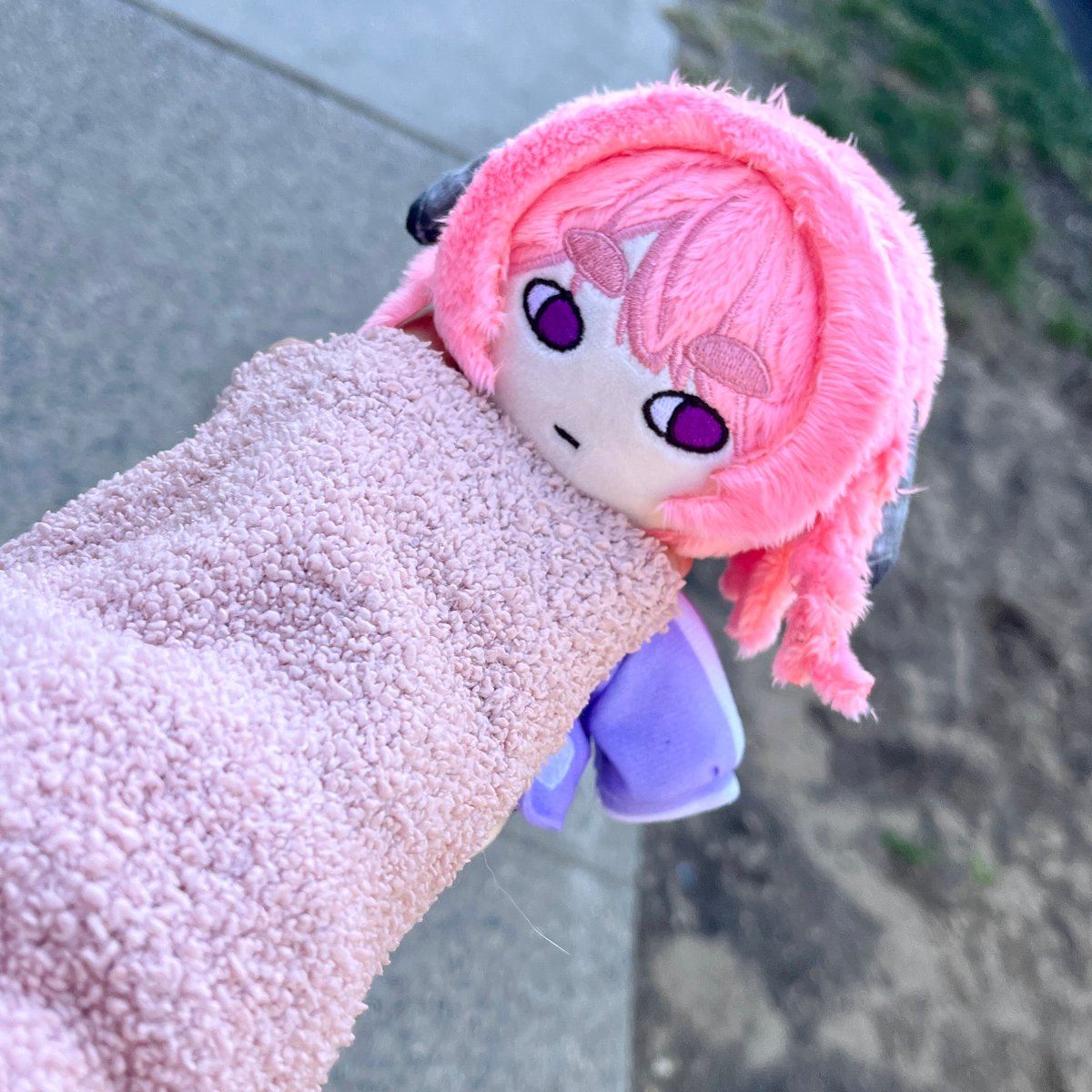 [PREORDER] Peoni Astera Plushie 15cm THIRD BATCH/OFFKAI PICKUP | Hinatsukki
