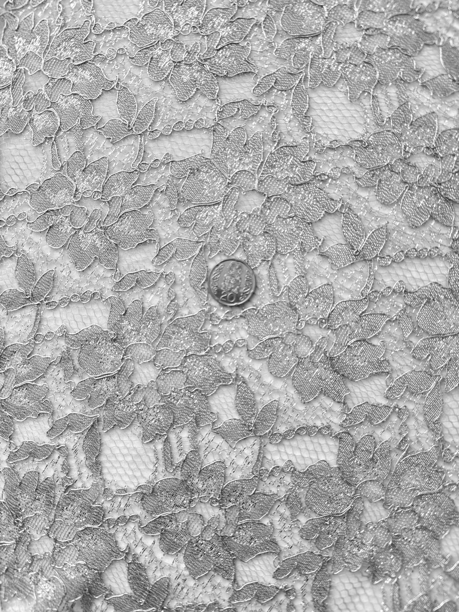 Lace Silver/Grey LA26 | One White Swan Dance Fabrics NZ