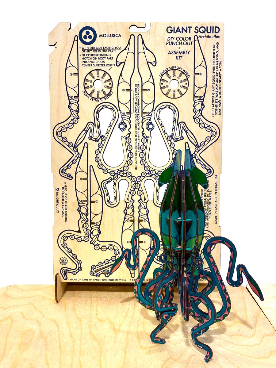 JCR MOLLUSCA : DIY COLOR GIANT SQUID | JCR WORKSHOP
