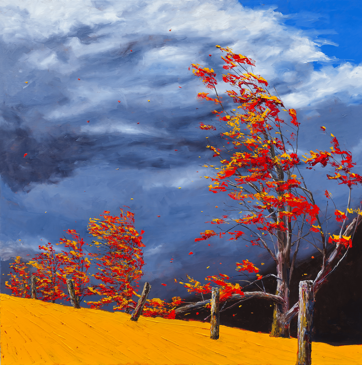 - Simply Red - | Jamie MacLean Fine Art