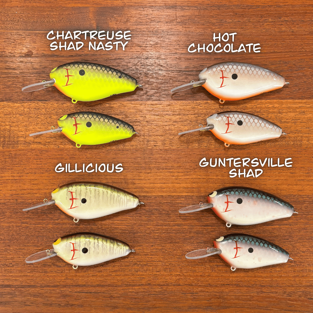 Epic Shad & Epic JR. Medium Diver Combo Set | Epic Eric's Bass Lab