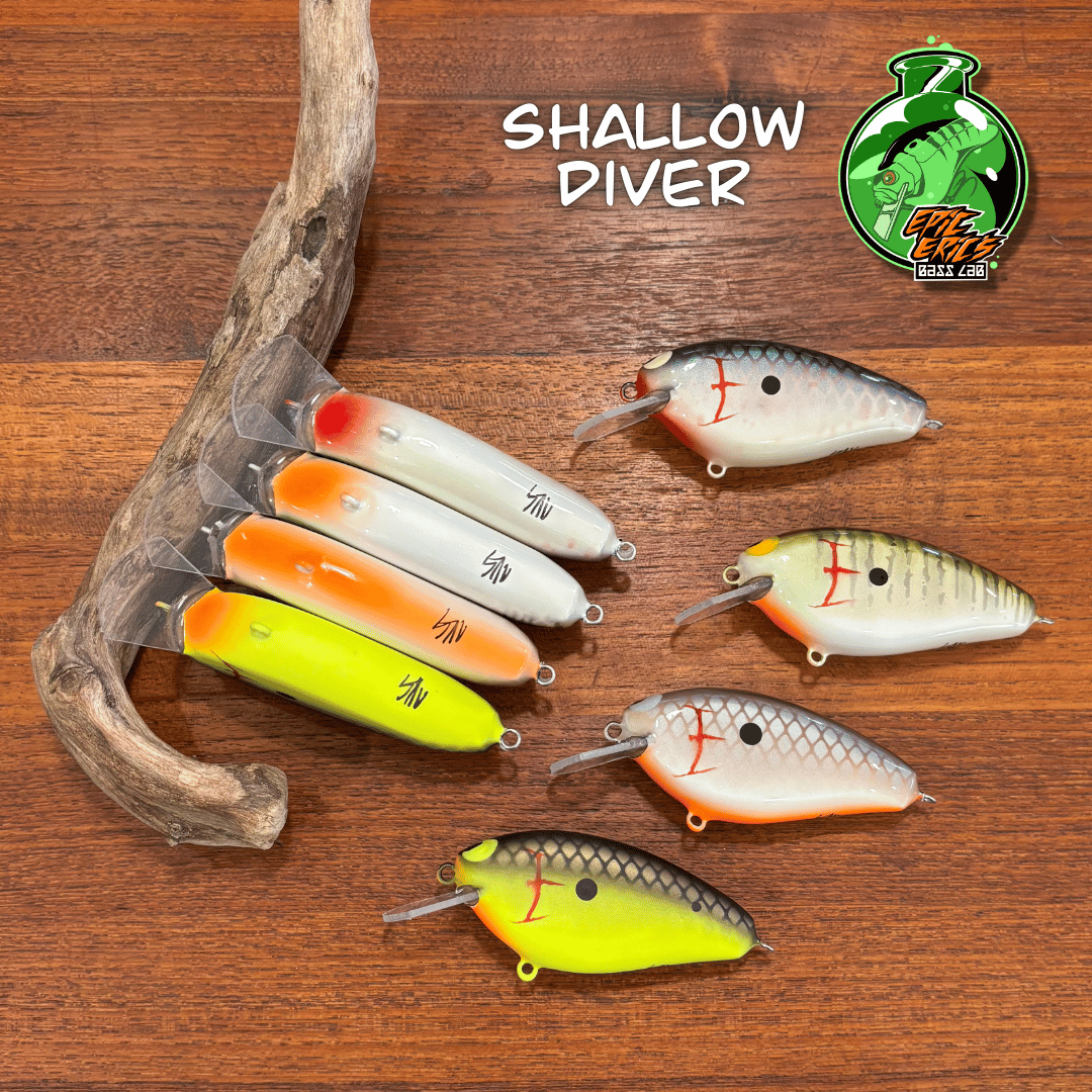 Epic Shad & Epic JR. Shallow Diver Combo Set | Epic Eric's Bass Lab
