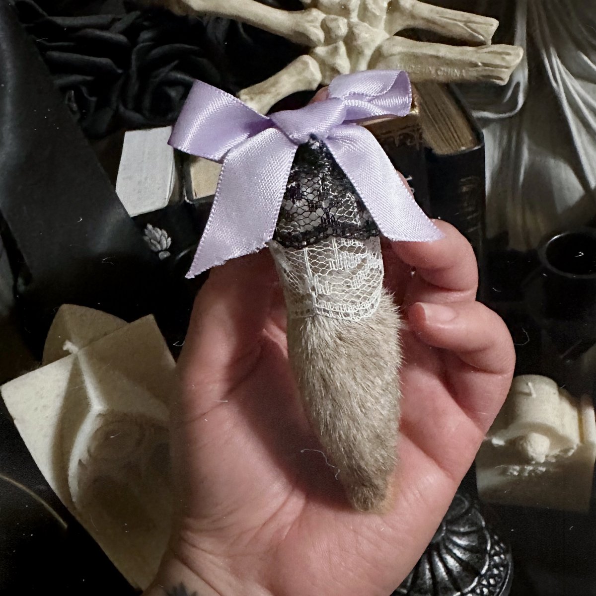 Victorian Mourning Rabbit's Foot | Tomb of Achlys