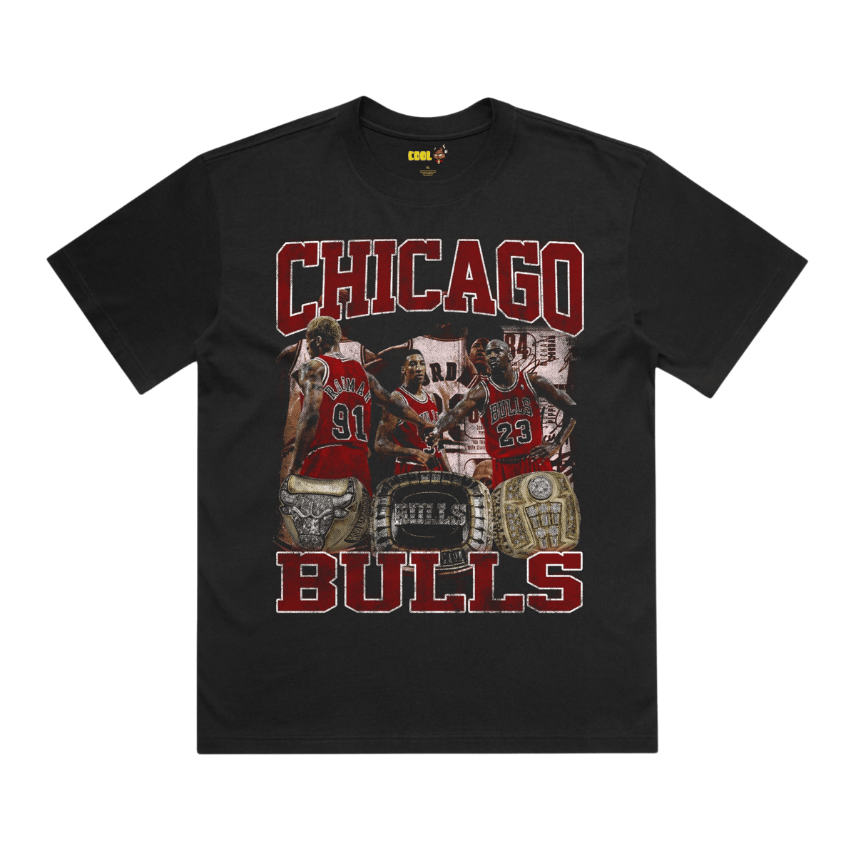 Chicago Bulls Champions | Cool Shit