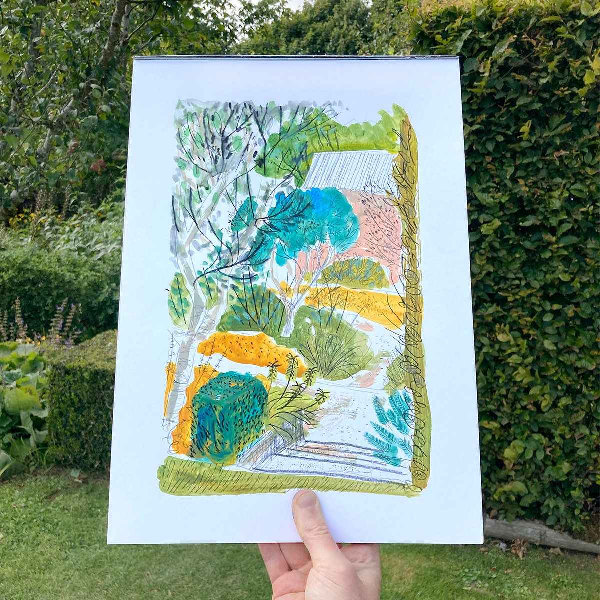 Potager Garden Path Framed Original Sketch | mattillustration