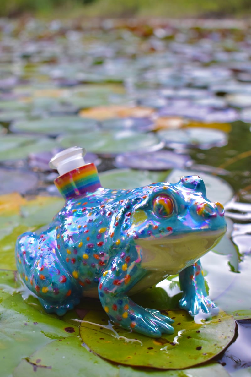 Rainbow Frog #2 | dcn porcelain