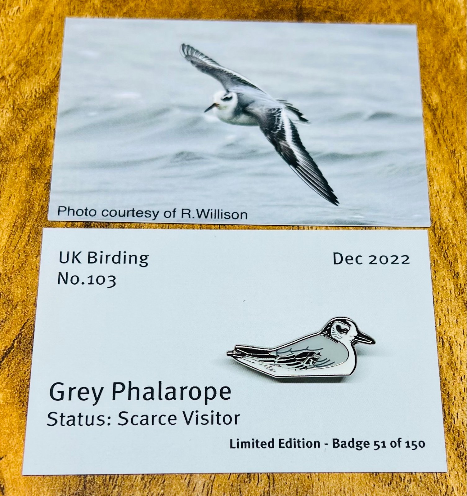 Grey Phalarope - No.103 - UK Birding Pins - Enamel Pin Badge | UK ...