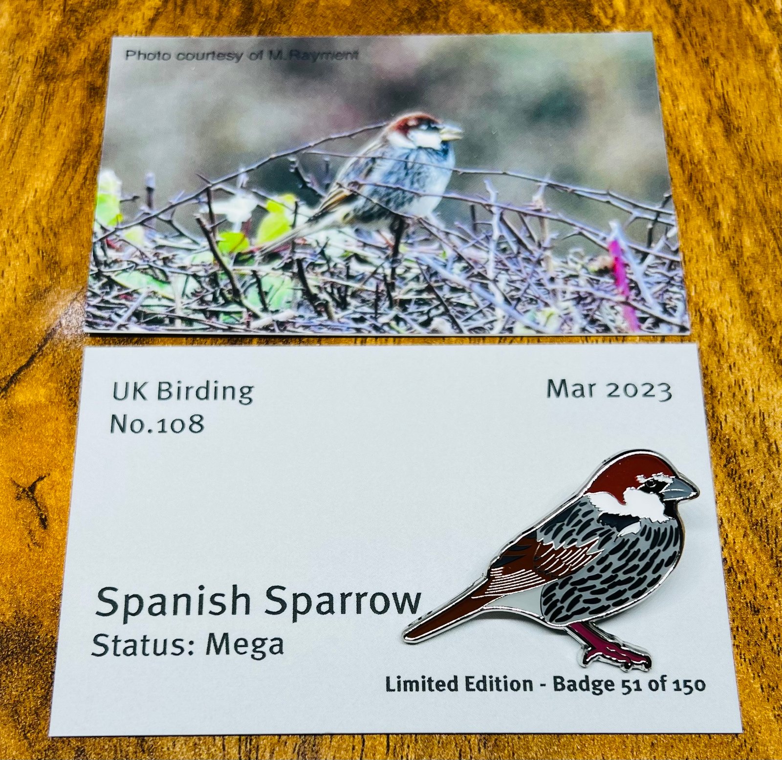 Spanish Sparrow - No.108 - UK Birding Pins - Enamel Pin Badge | UK ...