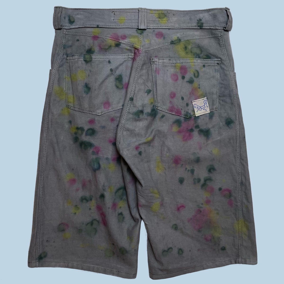 CRAZY LIZARD SHORTS | Lizard Stuff