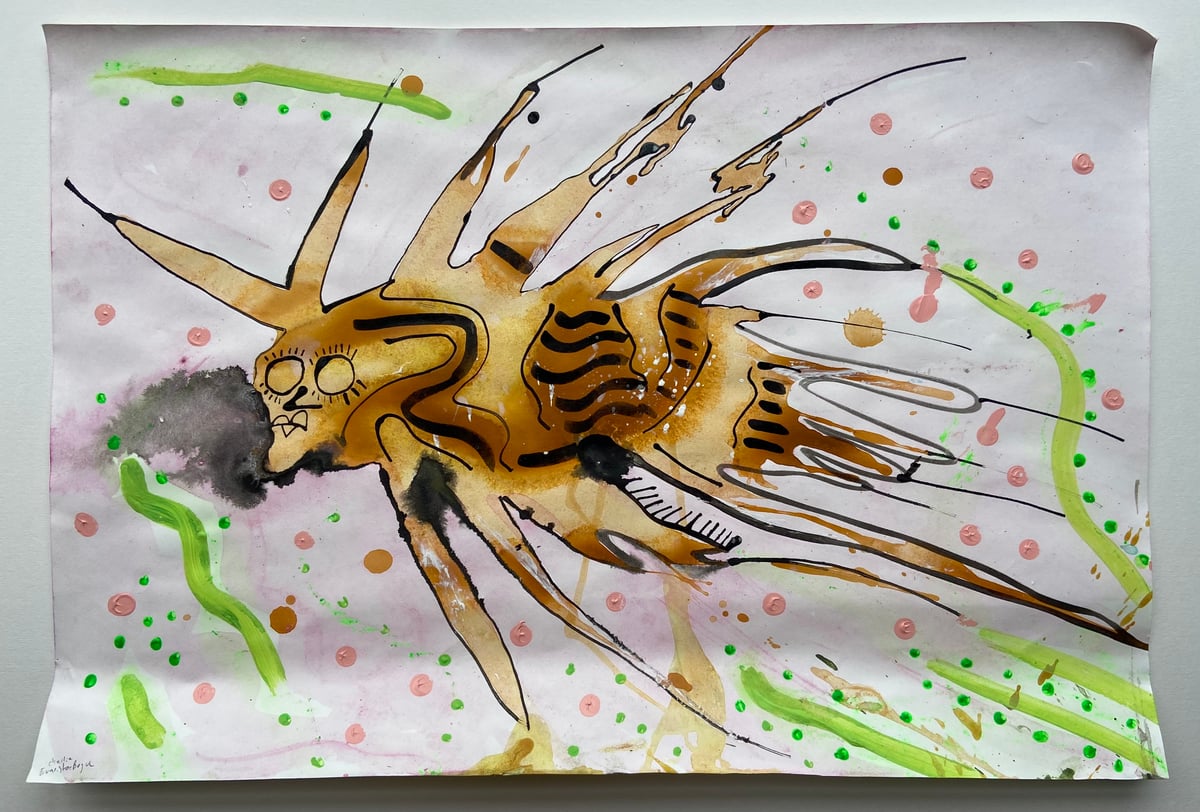 Lionfish Face | Charlie Evaristo-Boyce Gallery