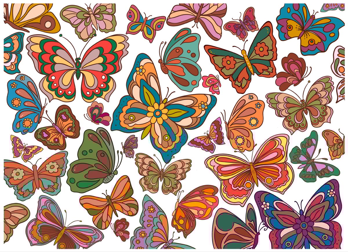 BUTTERFLY | Miss Dandy