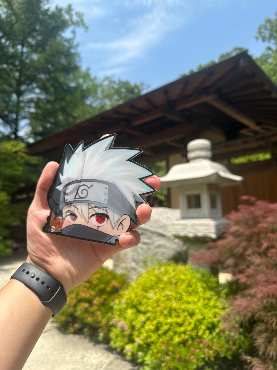 Lenticular Copy cat ninja | danimesenpai