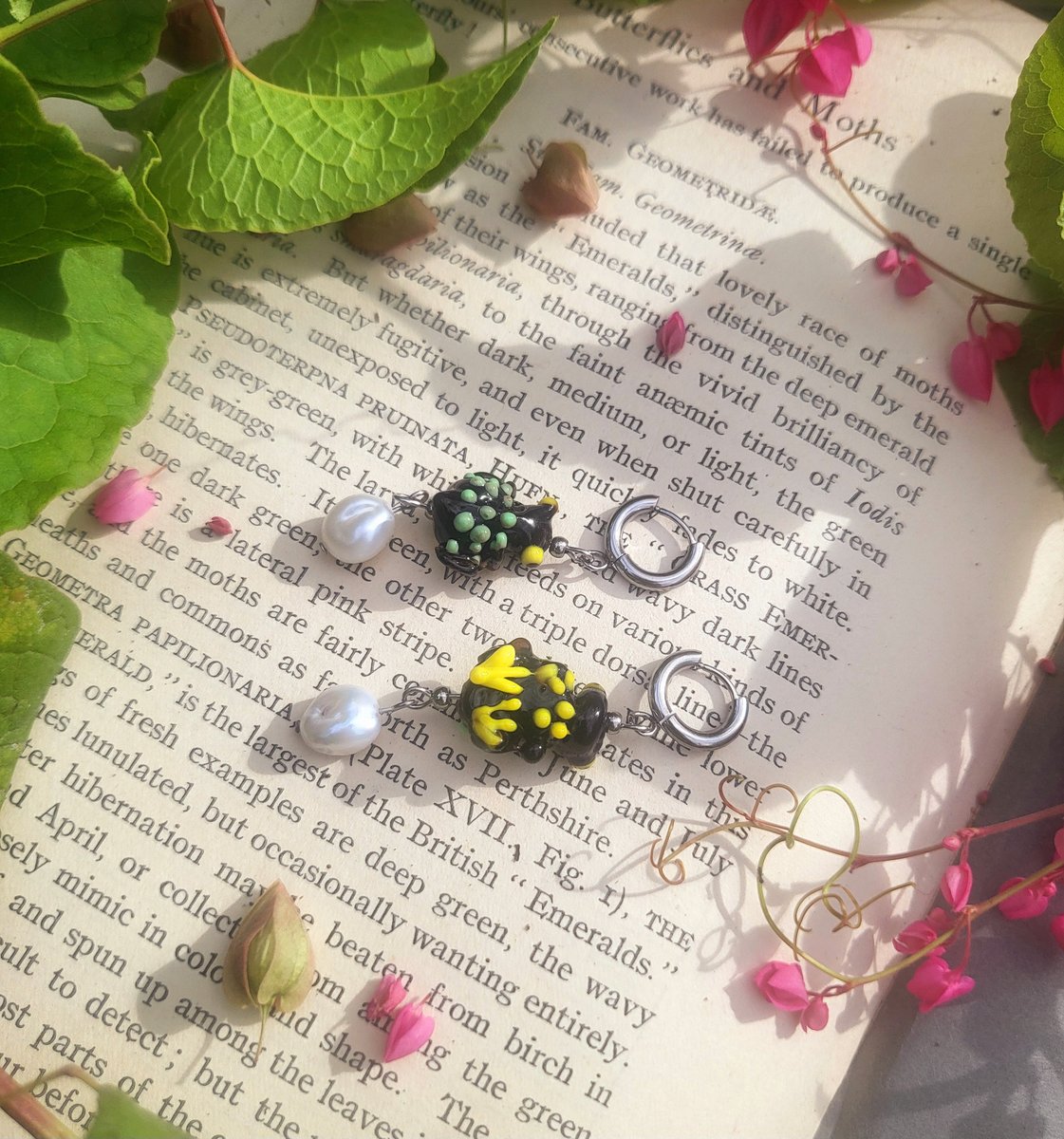 Cane Toads 🐸 | Rat King Co.